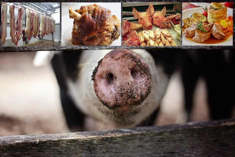 Billiges Fleisch hat seinen Preis: Was die bunten „Gütesiegel ...